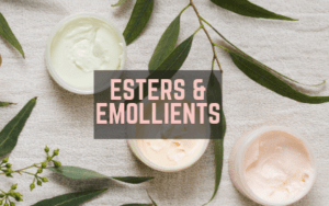 Pioma Home - Pioma Chemicals